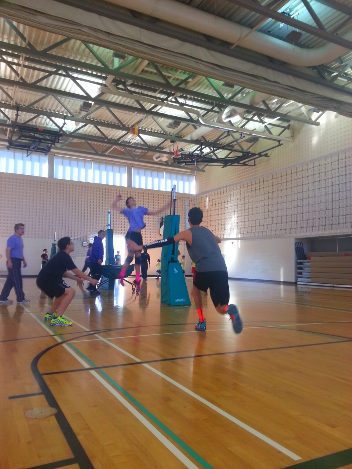 Indoor Programs - Phoenix Volleyball